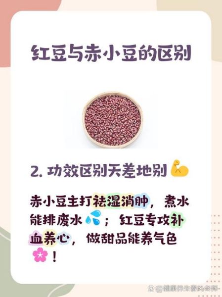 赤豆和红豆的区别_赤豆红豆哪个补血更好-第3张图片-山城妙识 赤豆和红豆的区别_赤豆红豆哪个补血更好-第3张图片-山城妙识