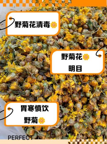 野菊花的功效与作用_野菊花泡水喝的禁忌-第2张图片-山城妙识 野菊花的功效与作用_野菊花泡水喝的禁忌-第2张图片-山城妙识