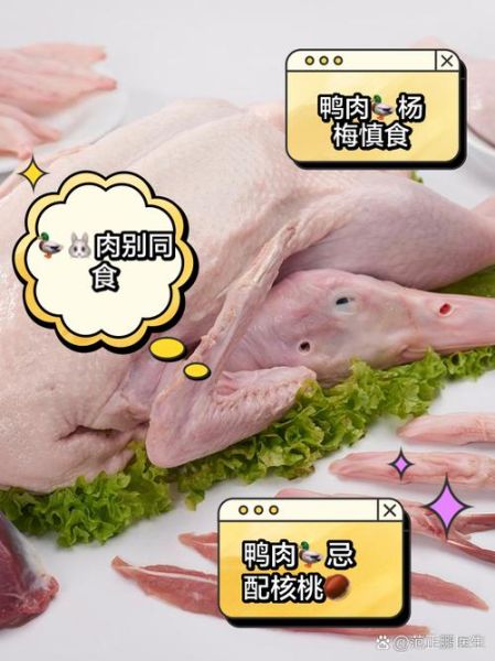 鸭肉和什么食物相克_吃鸭肉不能和什么一起吃-第1张图片-山城妙识 鸭肉和什么食物相克_吃鸭肉不能和什么一起吃-第1张图片-山城妙识