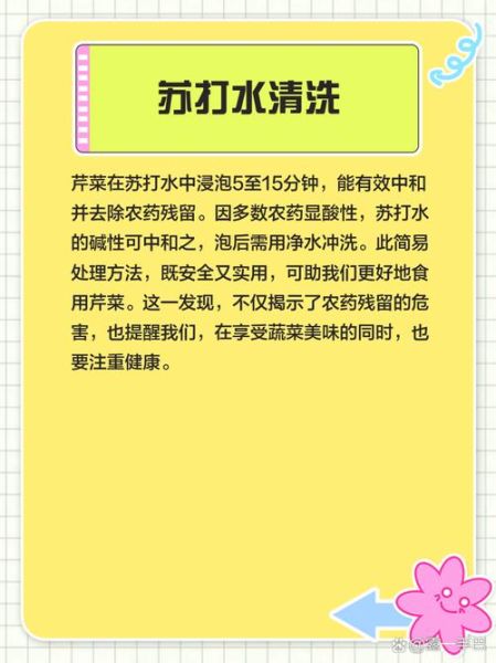 芹菜焯水几分钟最好_焯水后怎么保持翠绿-第1张图片-山城妙识 芹菜焯水几分钟最好_焯水后怎么保持翠绿-第1张图片-山城妙识