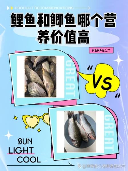 嘎鱼和鲫鱼哪个营养高_嘎鱼鲫鱼营养区别-第1张图片-山城妙识 嘎鱼和鲫鱼哪个营养高_嘎鱼鲫鱼营养区别-第1张图片-山城妙识