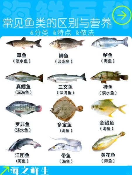 嘎鱼和鲫鱼哪个营养高_嘎鱼鲫鱼营养区别-第2张图片-山城妙识 嘎鱼和鲫鱼哪个营养高_嘎鱼鲫鱼营养区别-第2张图片-山城妙识