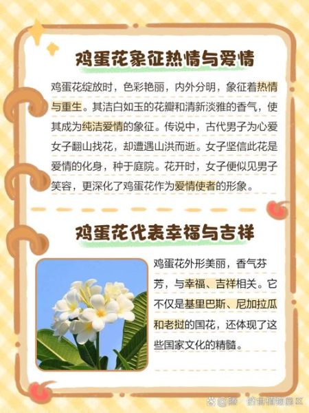 鸡蛋花花语是什么_鸡蛋花适合送什么人-第1张图片-山城妙识 鸡蛋花花语是什么_鸡蛋花适合送什么人-第1张图片-山城妙识