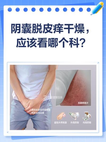 蛋皮痒是什么原因_蛋皮痒怎么办-第1张图片-山城妙识 蛋皮痒是什么原因_蛋皮痒怎么办-第1张图片-山城妙识