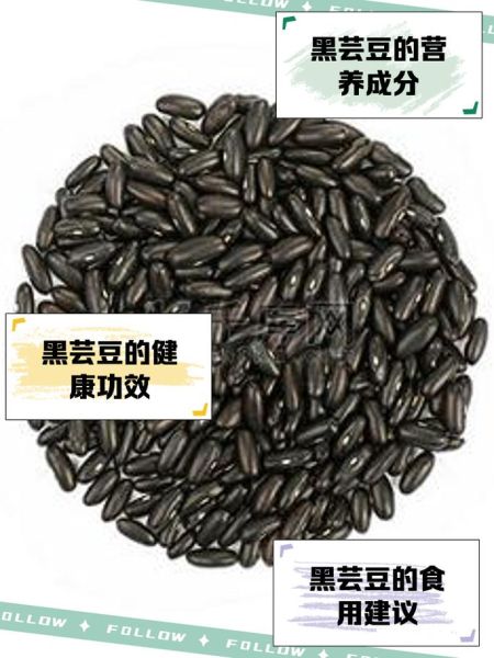 黑芸豆的功效与作用_黑芸豆怎么煮容易烂-第1张图片-山城妙识