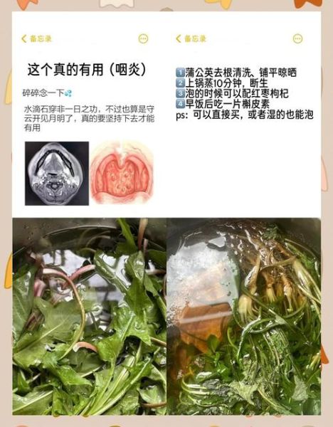 蒲公英治咽炎真的有用吗_慢性咽炎喝多久见效-第1张图片-山城妙识
