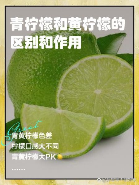 青柠檬和黄柠檬的区别_哪个更适合泡水-第1张图片-山城妙识 青柠檬和黄柠檬的区别_哪个更适合泡水-第1张图片-山城妙识