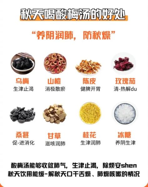 酸梅汤适合秋天喝吗_秋季喝酸梅汤的好处-第1张图片-山城妙识 酸梅汤适合秋天喝吗_秋季喝酸梅汤的好处-第1张图片-山城妙识