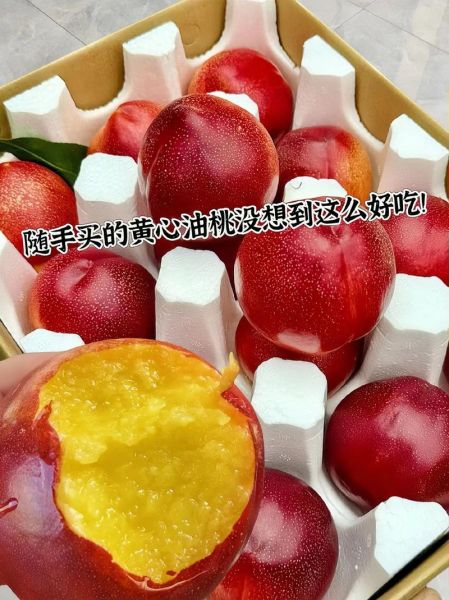 油桃吃多了会怎么样_油桃一天吃几个合适-第1张图片-山城妙识 油桃吃多了会怎么样_油桃一天吃几个合适-第1张图片-山城妙识