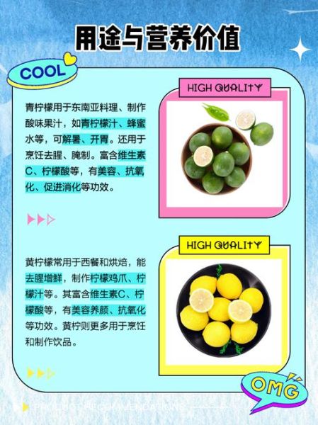 青柠檬和黄柠檬的区别_哪个更适合泡水-第3张图片-山城妙识 青柠檬和黄柠檬的区别_哪个更适合泡水-第3张图片-山城妙识