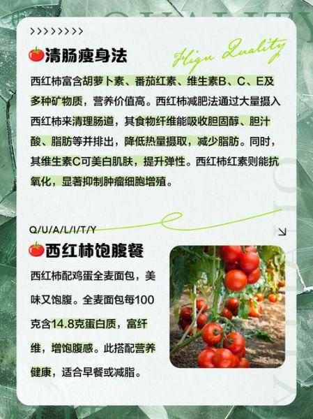 一天三餐吃西红柿能瘦8斤吗_西红柿减肥的正确吃法-第1张图片-山城妙识 一天三餐吃西红柿能瘦8斤吗_西红柿减肥的正确吃法-第1张图片-山城妙识