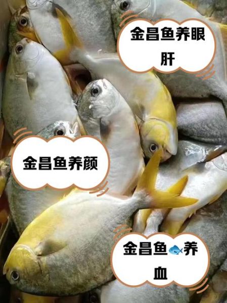 金昌鱼图片价格_多少钱一斤-第3张图片-山城妙识 金昌鱼图片价格_多少钱一斤-第3张图片-山城妙识