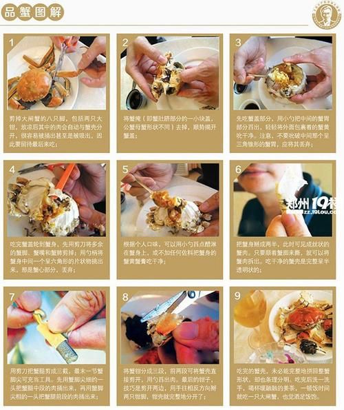 螃蟹怎么吃图解_高清步骤详解-第3张图片-山城妙识 螃蟹怎么吃图解_高清步骤详解-第3张图片-山城妙识