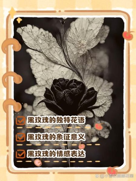 黑玫瑰花语是什么_黑玫瑰适合送什么人-第3张图片-山城妙识 黑玫瑰花语是什么_黑玫瑰适合送什么人-第3张图片-山城妙识