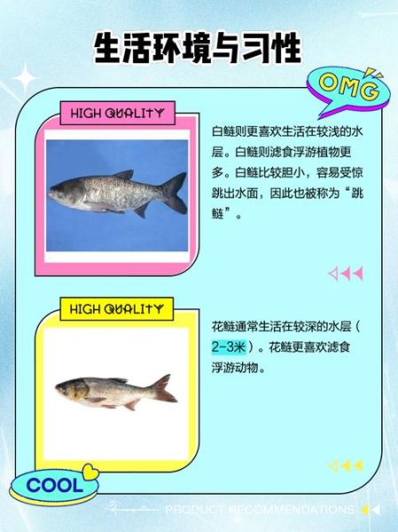 花鲢鱼和白鲢鱼的区别_哪个更好吃-第2张图片-山城妙识 花鲢鱼和白鲢鱼的区别_哪个更好吃-第2张图片-山城妙识