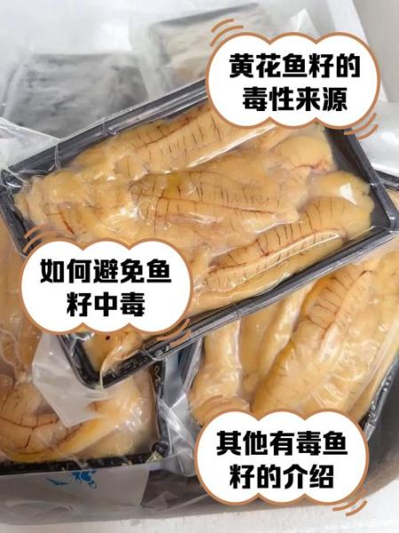 黄花鱼籽的功效与作用_孕妇能吃吗-第3张图片-山城妙识 黄花鱼籽的功效与作用_孕妇能吃吗-第3张图片-山城妙识