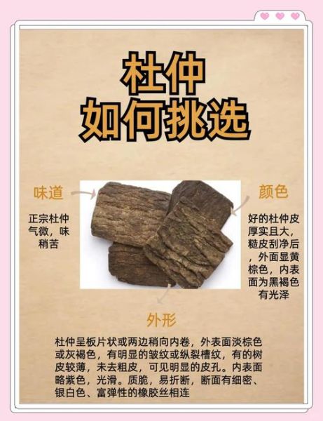 补肾最好的一味中药是什么_如何正确服用-第1张图片-山城妙识 补肾最好的一味中药是什么_如何正确服用-第1张图片-山城妙识
