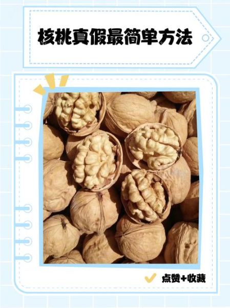 美国山核桃图片_如何辨别真假-第3张图片-山城妙识 美国山核桃图片_如何辨别真假-第3张图片-山城妙识
