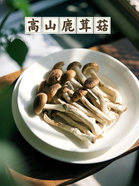 鹿茸菇的功效与作用_鹿茸菇怎么吃效果最好-第3张图片-山城妙识 鹿茸菇的功效与作用_鹿茸菇怎么吃效果最好-第3张图片-山城妙识