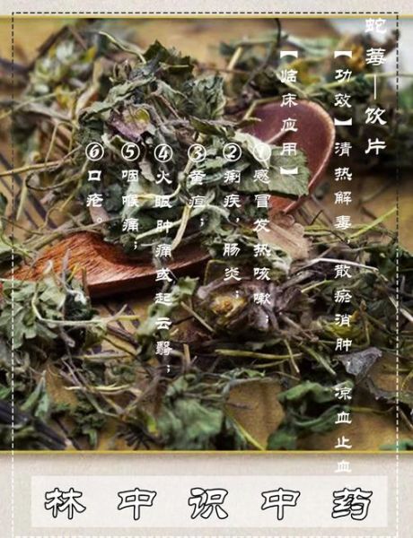 蛇莓的功效与作用_蛇莓怎么吃才安全-第2张图片-山城妙识 蛇莓的功效与作用_蛇莓怎么吃才安全-第2张图片-山城妙识