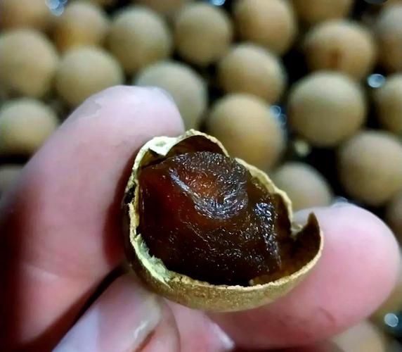 龙眼干怎么晒才好吃_龙眼干晒制技巧-第3张图片-山城妙识 龙眼干怎么晒才好吃_龙眼干晒制技巧-第3张图片-山城妙识