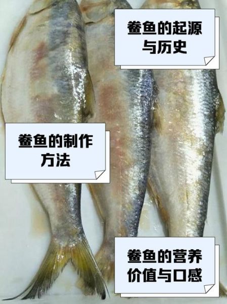鲞鱼怎么读_鲞鱼是什么鱼-第1张图片-山城妙识 鲞鱼怎么读_鲞鱼是什么鱼-第1张图片-山城妙识