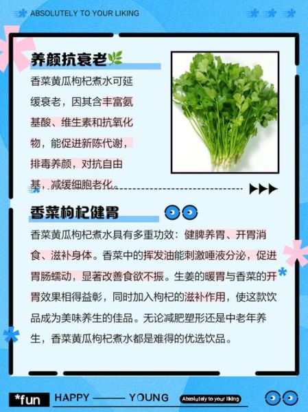 喝香菜水能减肥吗_香菜水减肥原理-第1张图片-山城妙识 喝香菜水能减肥吗_香菜水减肥原理-第1张图片-山城妙识