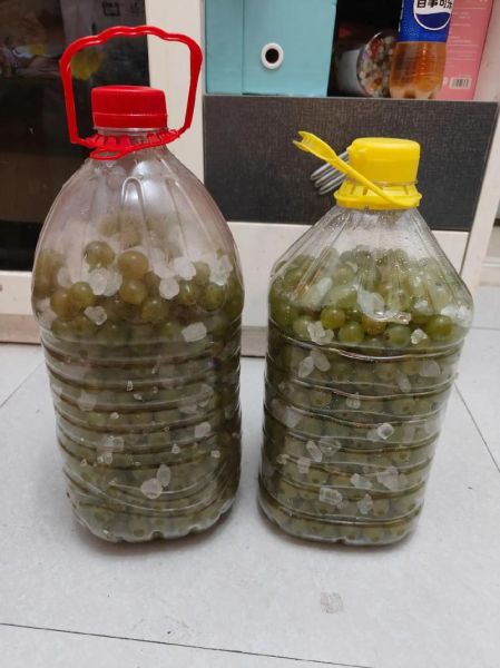 葡萄酒怎么在家酿_自酿葡萄酒做法步骤-第3张图片-山城妙识 葡萄酒怎么在家酿_自酿葡萄酒做法步骤-第3张图片-山城妙识
