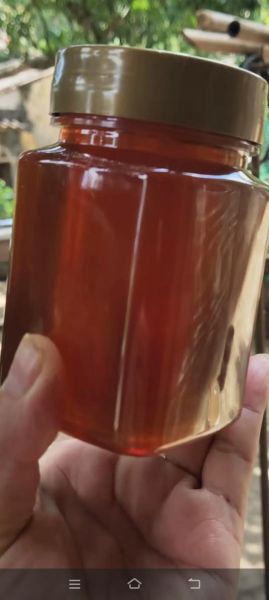 龙眼蜜多少钱一斤_正宗龙眼蜜价格区间-第2张图片-山城妙识 龙眼蜜多少钱一斤_正宗龙眼蜜价格区间-第2张图片-山城妙识