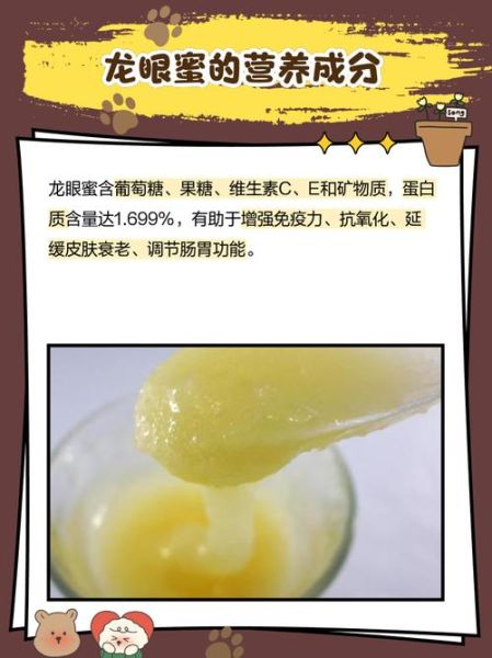 龙眼蜜多少钱一斤_正宗龙眼蜜价格区间-第1张图片-山城妙识 龙眼蜜多少钱一斤_正宗龙眼蜜价格区间-第1张图片-山城妙识