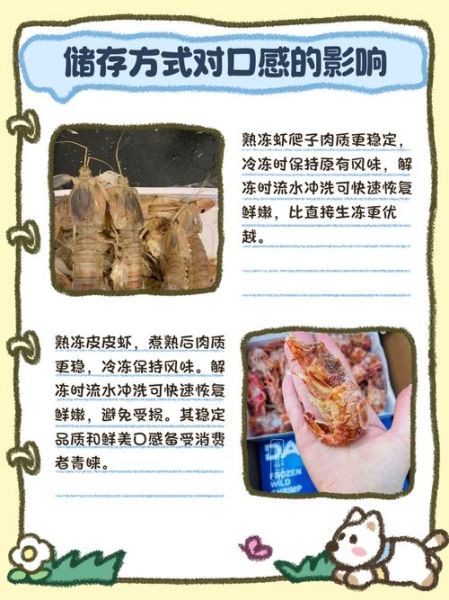 虾爬子怎么保存_虾爬子冷冻还是冷藏-第3张图片-山城妙识 虾爬子怎么保存_虾爬子冷冻还是冷藏-第3张图片-山城妙识