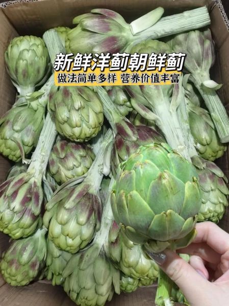 洋蓟草本有什么功效_洋蓟草本怎么吃效果最好-第2张图片-山城妙识 洋蓟草本有什么功效_洋蓟草本怎么吃效果最好-第2张图片-山城妙识
