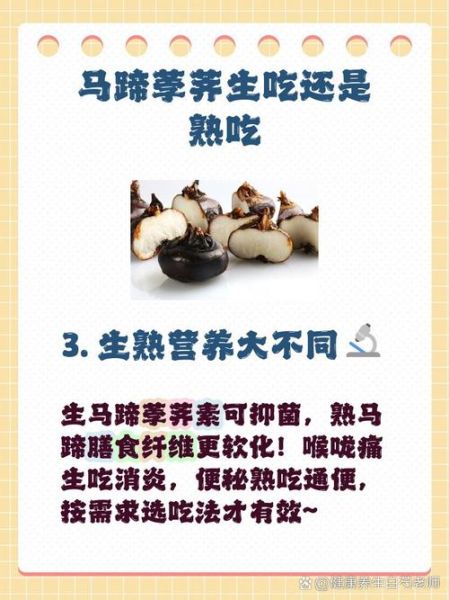 马蹄荸荠怎么吃_马蹄荸荠生吃还是熟吃好-第1张图片-山城妙识 马蹄荸荠怎么吃_马蹄荸荠生吃还是熟吃好-第1张图片-山城妙识