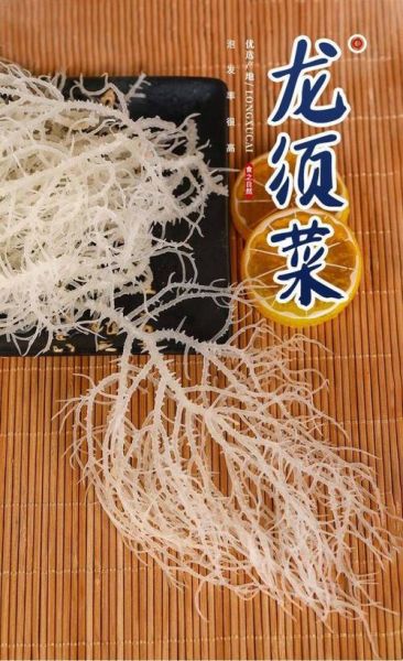 鹿角菜是什么植物_鹿角菜和龙须菜区别-第1张图片-山城妙识 鹿角菜是什么植物_鹿角菜和龙须菜区别-第1张图片-山城妙识