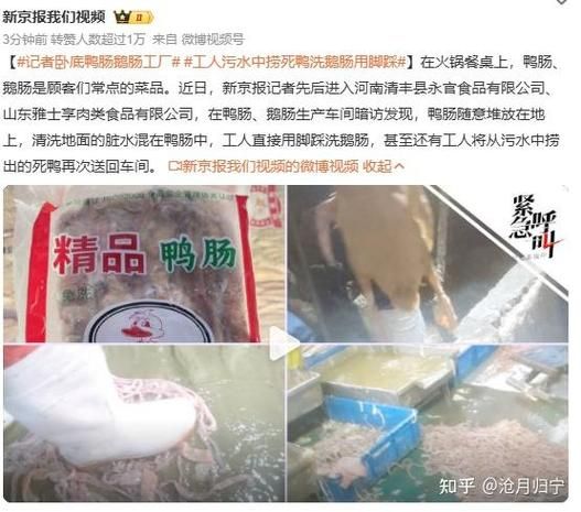 鸭肠怎么洗_鸭肠清洗方法-第1张图片-山城妙识 鸭肠怎么洗_鸭肠清洗方法-第1张图片-山城妙识