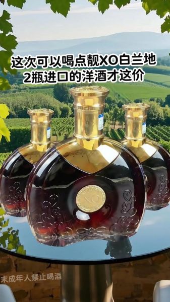 xo酒价格表多少钱一瓶_xo酒真假怎么分辨-第1张图片-山城妙识 xo酒价格表多少钱一瓶_xo酒真假怎么分辨-第1张图片-山城妙识