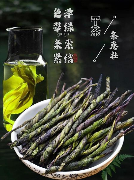 苦丁茶多少钱一斤_苦丁茶价格为什么差距大-第1张图片-山城妙识 苦丁茶多少钱一斤_苦丁茶价格为什么差距大-第1张图片-山城妙识