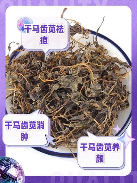 马齿苋图片功效与作用_马齿苋的禁忌有哪些-第3张图片-山城妙识 马齿苋图片功效与作用_马齿苋的禁忌有哪些-第3张图片-山城妙识