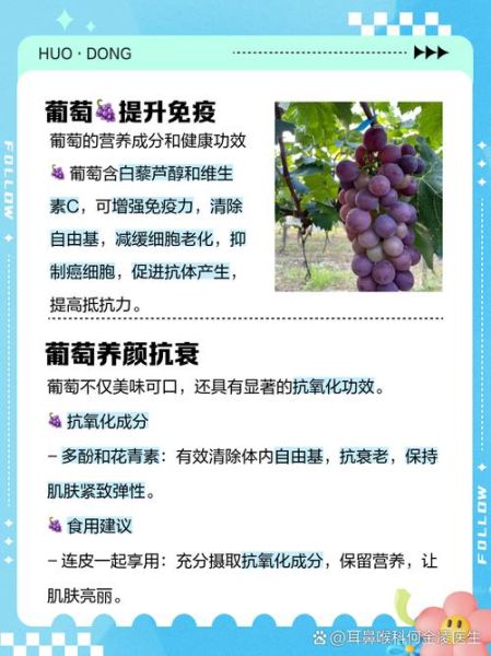 长期吃葡萄的好处和坏处_每天吃多少才健康-第2张图片-山城妙识 长期吃葡萄的好处和坏处_每天吃多少才健康-第2张图片-山城妙识