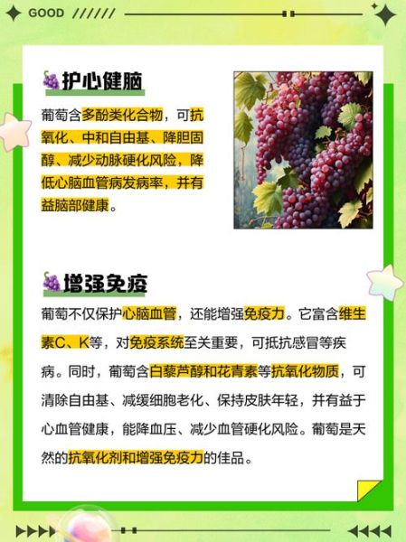 长期吃葡萄的好处和坏处_每天吃多少才健康-第1张图片-山城妙识 长期吃葡萄的好处和坏处_每天吃多少才健康-第1张图片-山城妙识