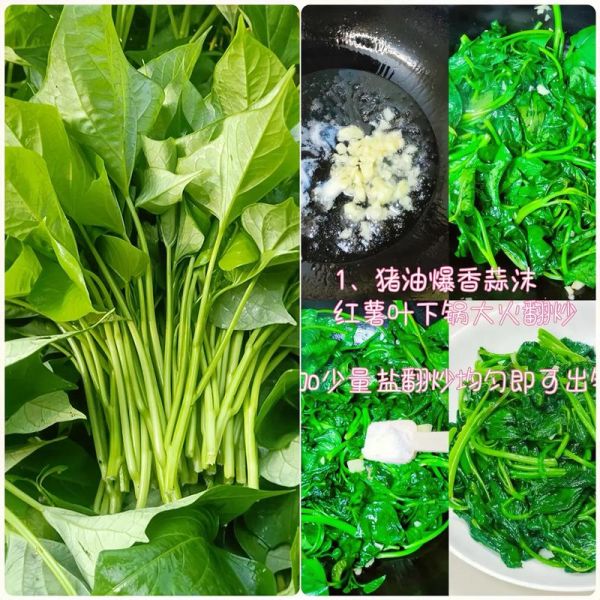 番薯叶怎么吃_番薯叶的做法大全-第2张图片-山城妙识 番薯叶怎么吃_番薯叶的做法大全-第2张图片-山城妙识