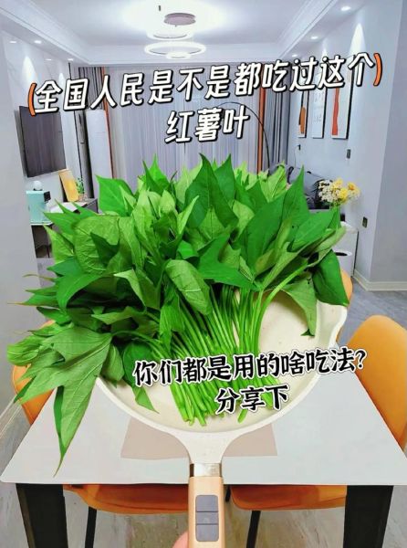 番薯叶怎么吃_番薯叶的做法大全-第3张图片-山城妙识 番薯叶怎么吃_番薯叶的做法大全-第3张图片-山城妙识