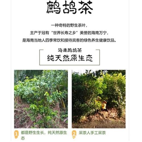 鹧鸪茶的功效与作用_鹧鸪茶怎么泡才正确-第3张图片-山城妙识