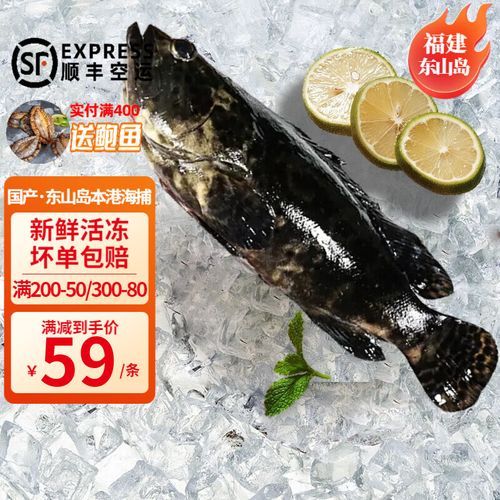 海斑鱼价格多少钱一斤_海斑鱼为什么这么贵-第1张图片-山城妙识 海斑鱼价格多少钱一斤_海斑鱼为什么这么贵-第1张图片-山城妙识