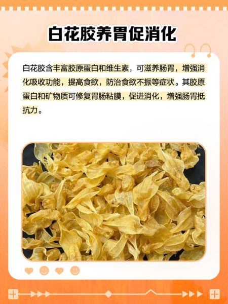 白花胶的功效与作用_白花胶怎么吃最好-第2张图片-山城妙识 白花胶的功效与作用_白花胶怎么吃最好-第2张图片-山城妙识
