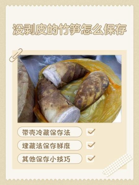 新鲜竹笋怎么处理晒干_竹笋晒干保存方法-第2张图片-山城妙识 新鲜竹笋怎么处理晒干_竹笋晒干保存方法-第2张图片-山城妙识