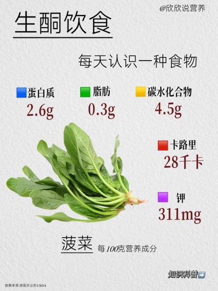 菠菜有什么营养价值_菠菜怎么吃最健康-第1张图片-山城妙识 菠菜有什么营养价值_菠菜怎么吃最健康-第1张图片-山城妙识