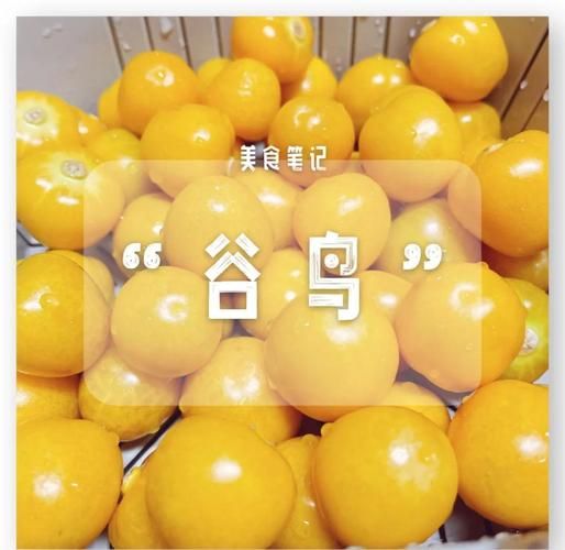 谷鸟水果的功效_谷鸟水果有什么作用-第1张图片-山城妙识 谷鸟水果的功效_谷鸟水果有什么作用-第1张图片-山城妙识