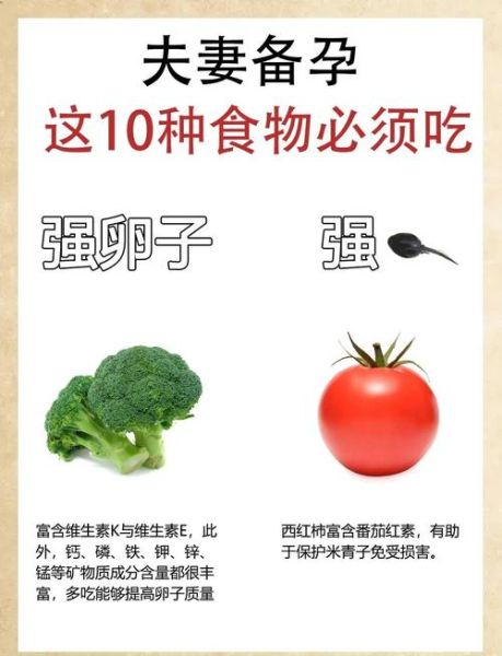 备孕吃什么容易受孕_提高怀孕几率的食物有哪些-第1张图片-山城妙识 备孕吃什么容易受孕_提高怀孕几率的食物有哪些-第1张图片-山城妙识