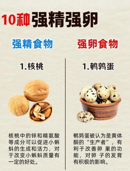 备孕吃什么容易受孕_提高怀孕几率的食物有哪些-第2张图片-山城妙识 备孕吃什么容易受孕_提高怀孕几率的食物有哪些-第2张图片-山城妙识